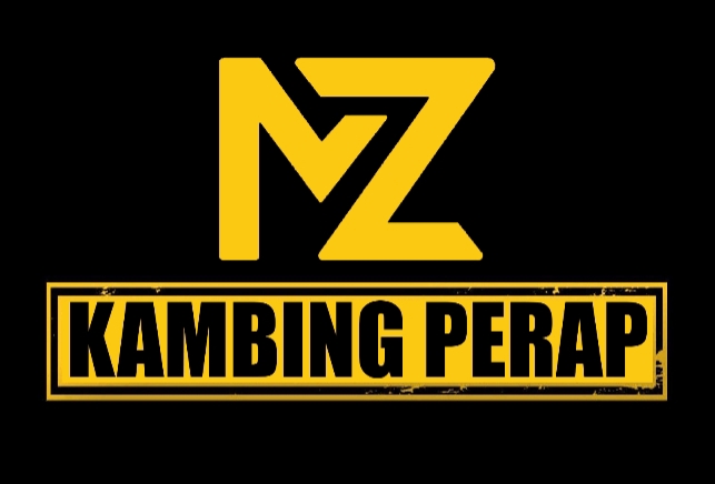 NAZ TEAM GLOBAL – INSKEN