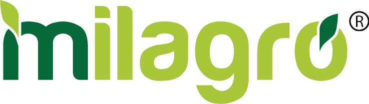 HMJ BIZ POINT SDN. BHD. – INSKEN